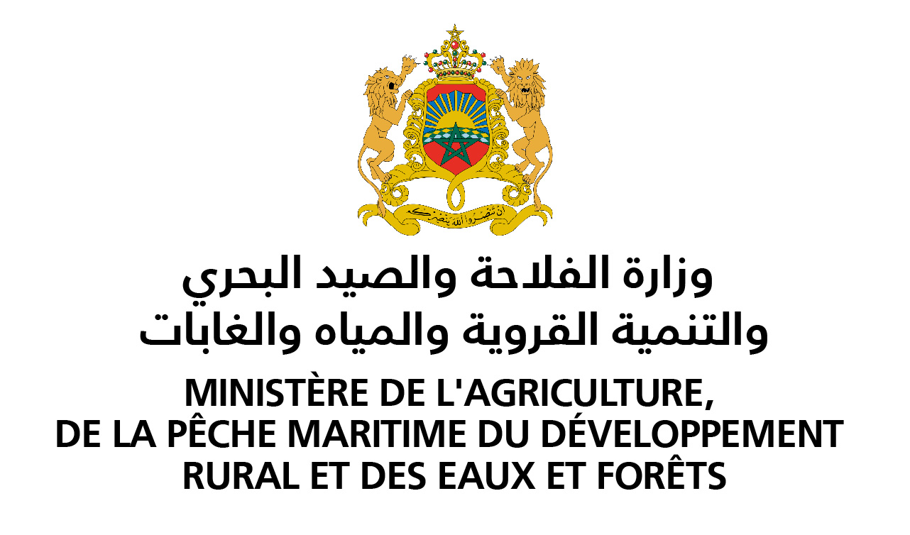 Solutions IT au Maroc | Expertise & Innovation